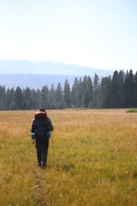 About ⋆ Brian Galler